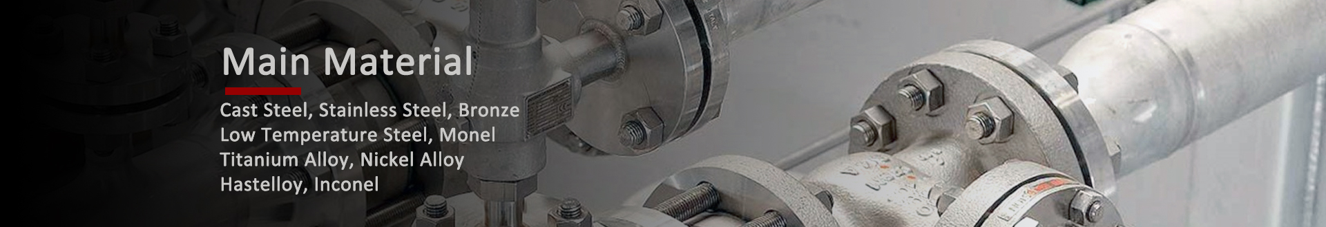 MSNL - Your Leading Provider of Stainless Steel Valves