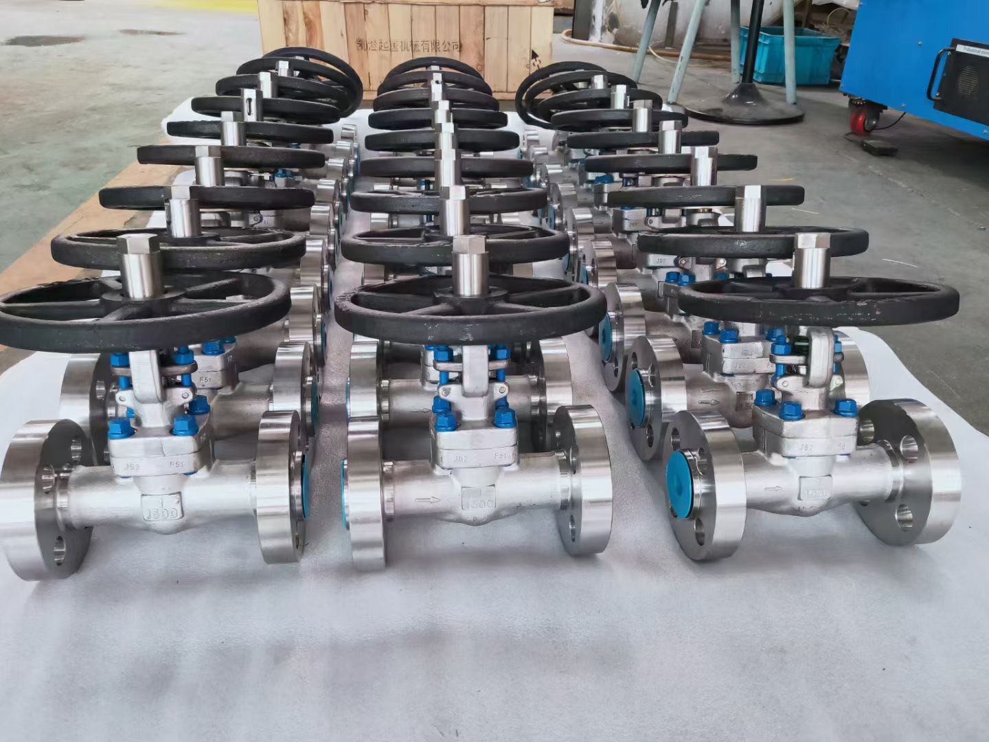 Duplex Stainless Steel F51 Flange 1500LB Globe Valve - MSNL VALVE CHINA